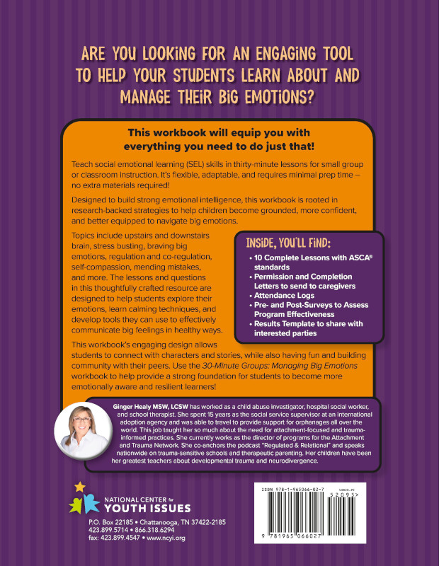 30-Minute Groups: Managing Big Emotions - NCYI Shop