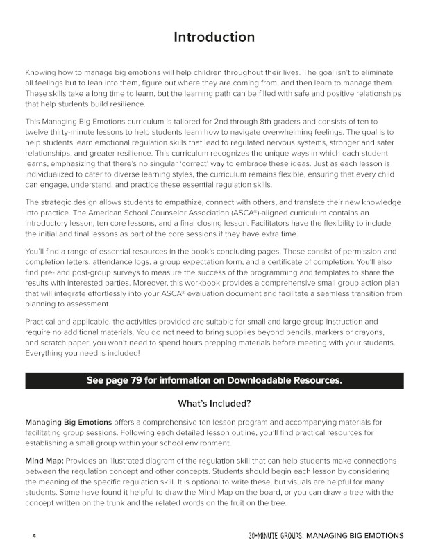 30-Minute Groups: Managing Big Emotions - NCYI Shop
